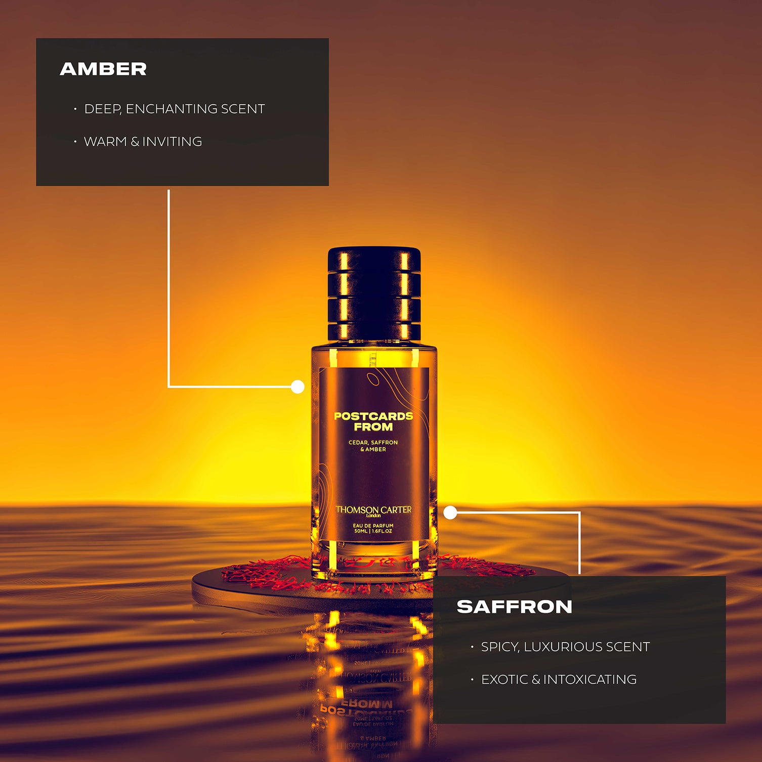 Postcards From | Eau de Parfum – Thomson Carter